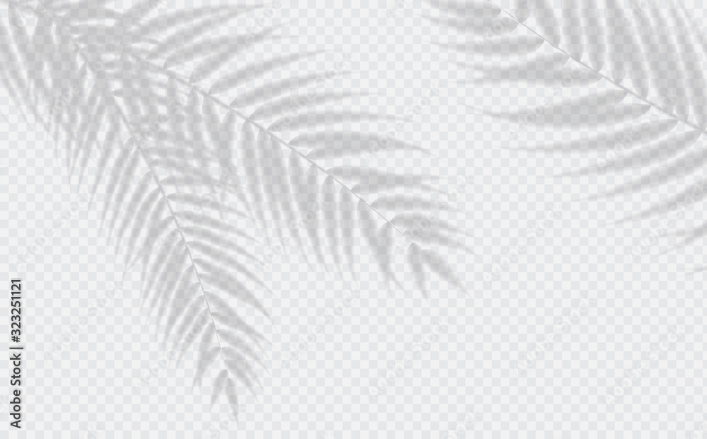 Transparent shadow effects. Vector with shadow overlays on transparent ...