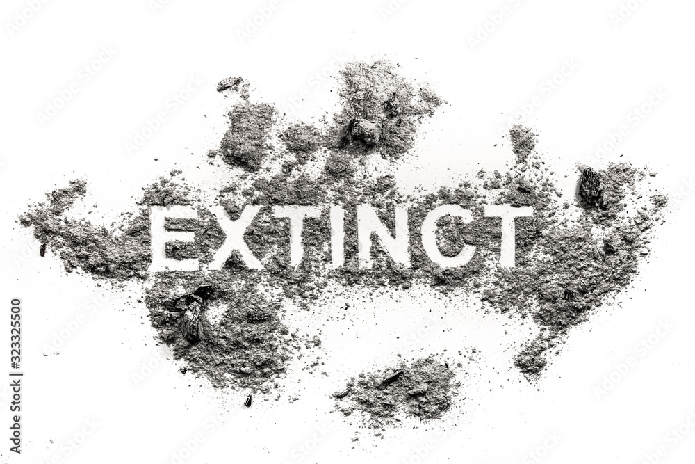 Extinct word written in ash, dust or dirt as animal species or nature ...