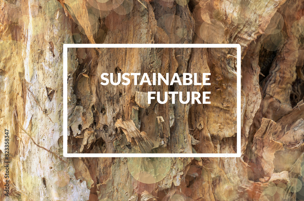 Photo & Art Print Sustainable Future poster design with old tree bark ...