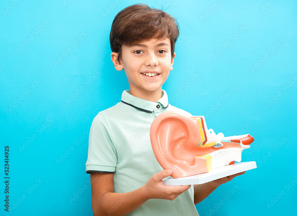 Cute mixed race child holding model of human ear. Concept Ear exam and ...