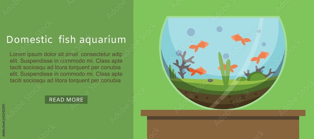 Domestic fish aquarium with golden fishes vector cartoon illustration ...