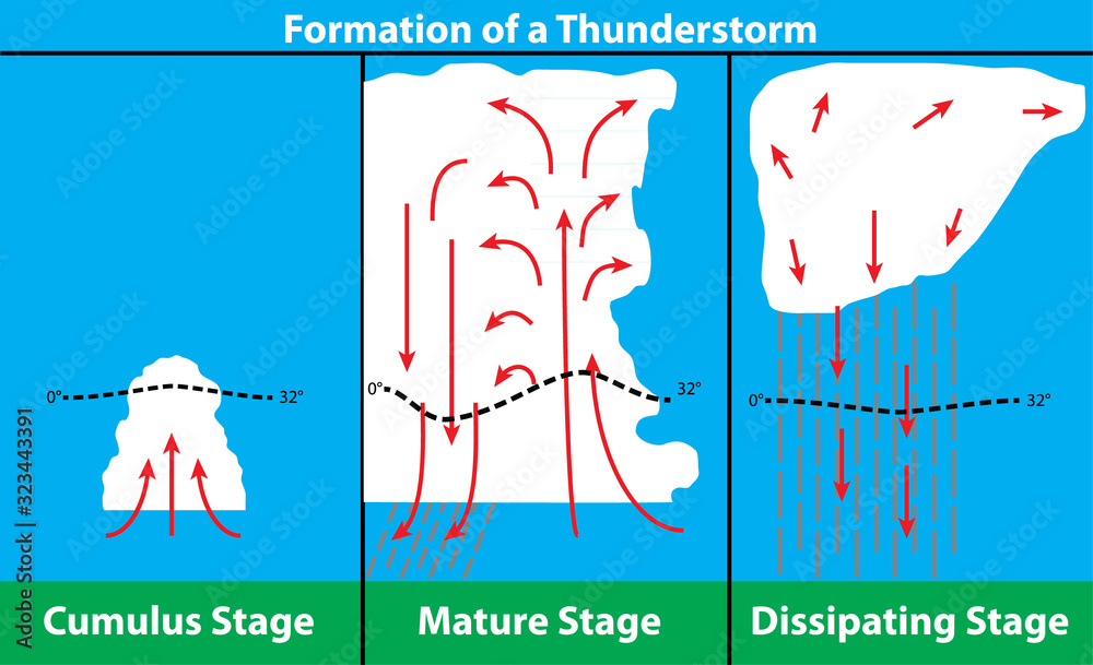 diagram of the formation of a thunderstorm Stock Vector | Adobe Stock
