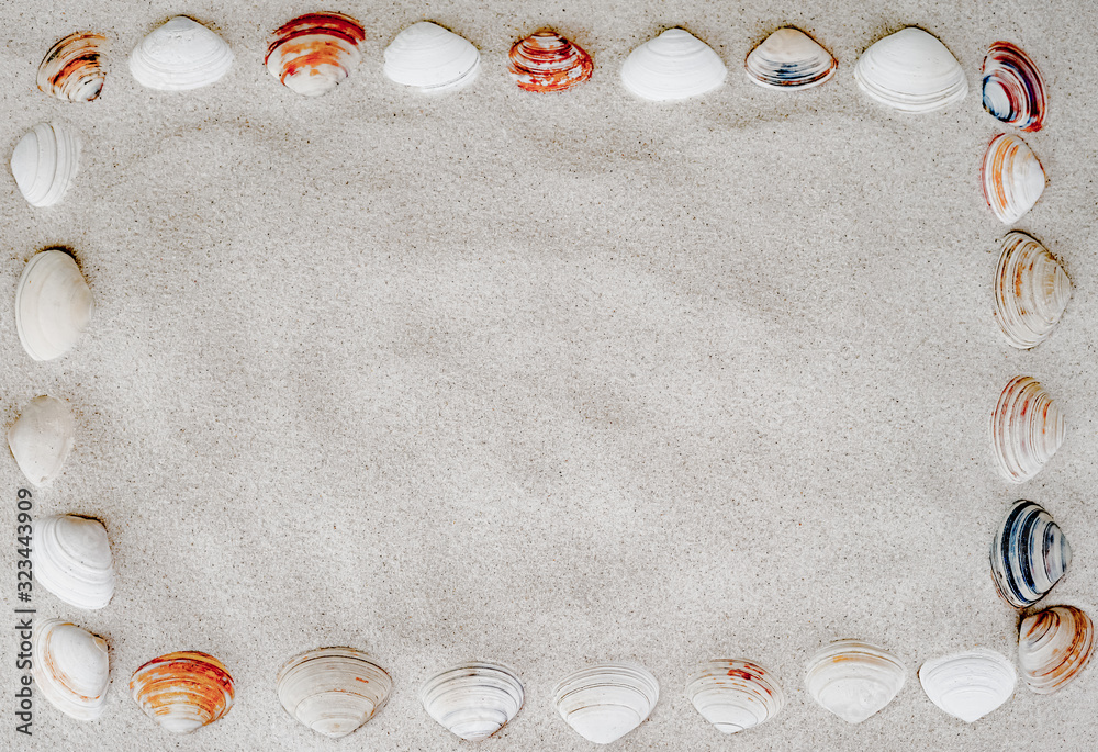 sea shells in sand as a frame, framed sea shells, sea shells in sand ...