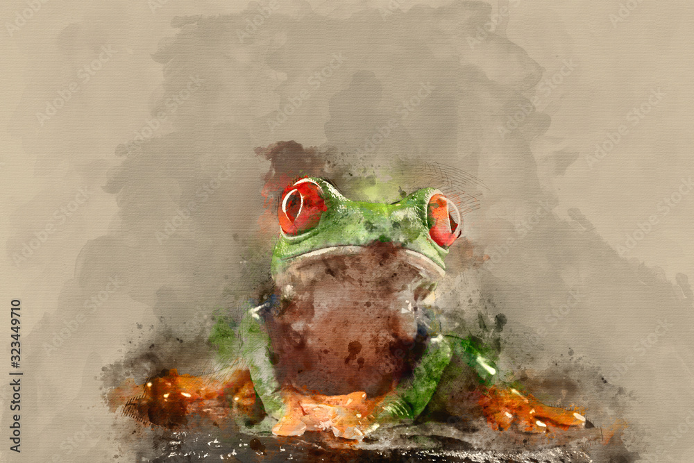 Digital watercolor painting of red eyed tree Boophis Luteus frog with ...
