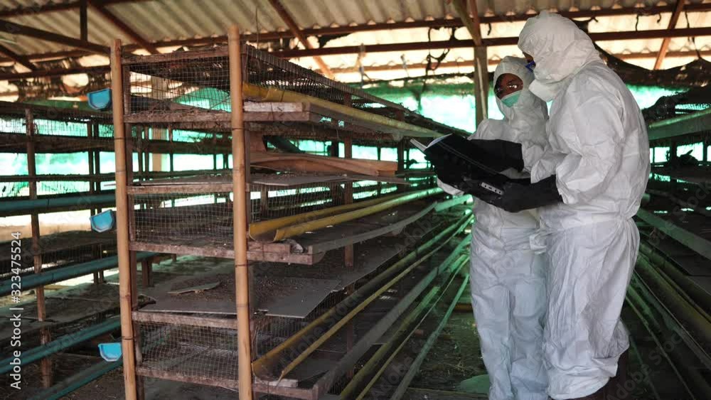 Scientists are monitoring chemical contamination in the form of chicken ...