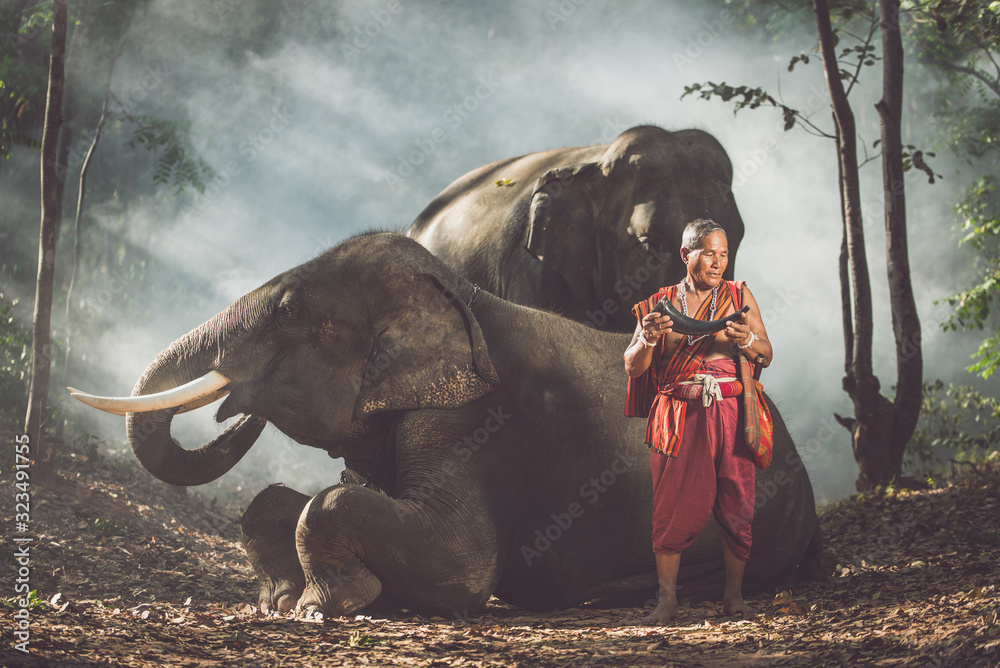 thai shepherds in the jungle with elephants. Historic lifestyle moments ...