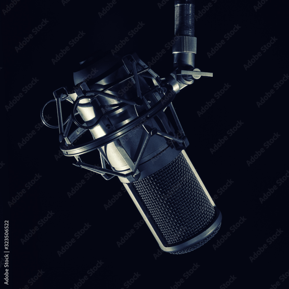 Professional studio microphone. Stock Photo | Adobe Stock
