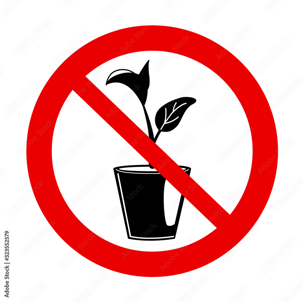 No houseplants prohibition sign. Forbidden icon with flower pot, white ...