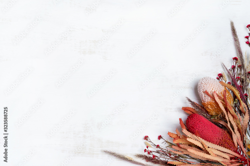 Beautiful dried flower flay lay arrangement of Australian Banksia and ...