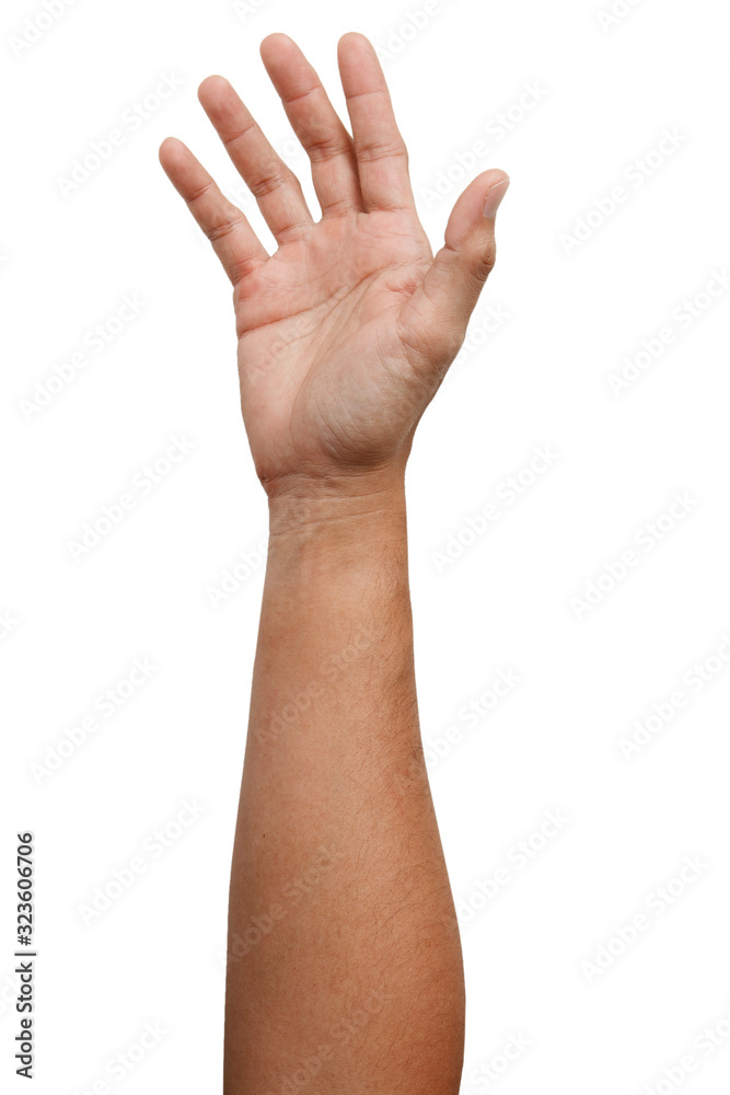 Male Asian hand gestures isolated over the white background. Soft Grab ...