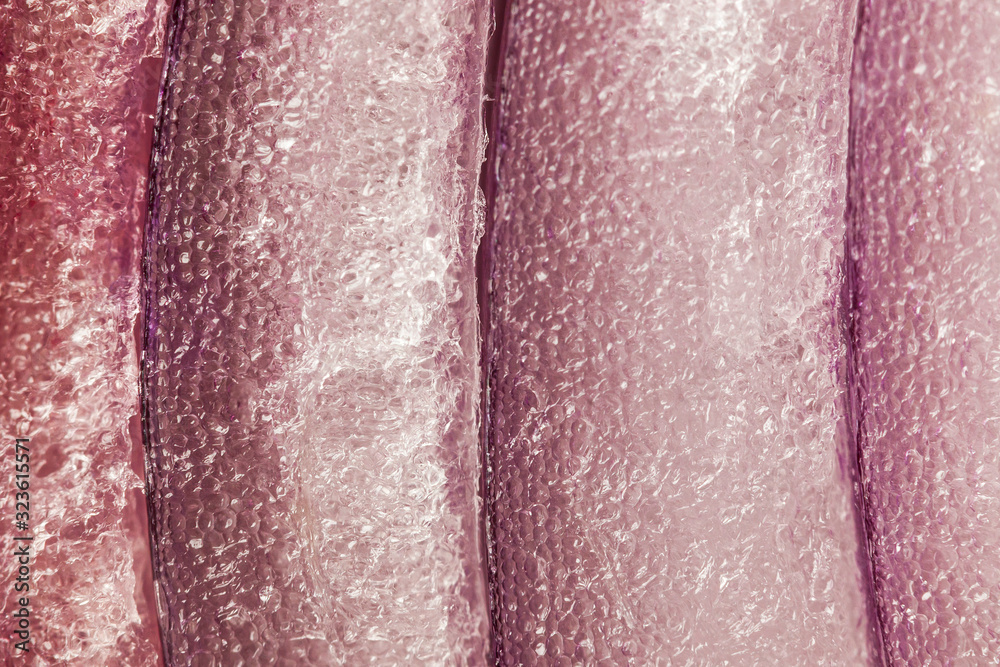 Foto de Red onion slice in microscope. Plant cells texture, pattern ...