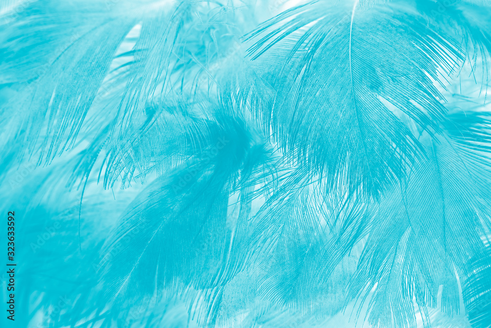 Beautiful green turquoise vintage color trends feather pattern texture ...