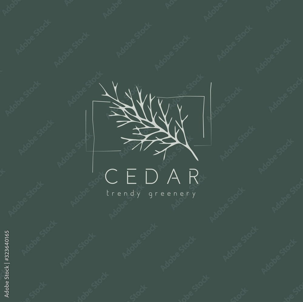 Cedar logo and branch. Hand drawn wedding herb, plant and monogram with ...