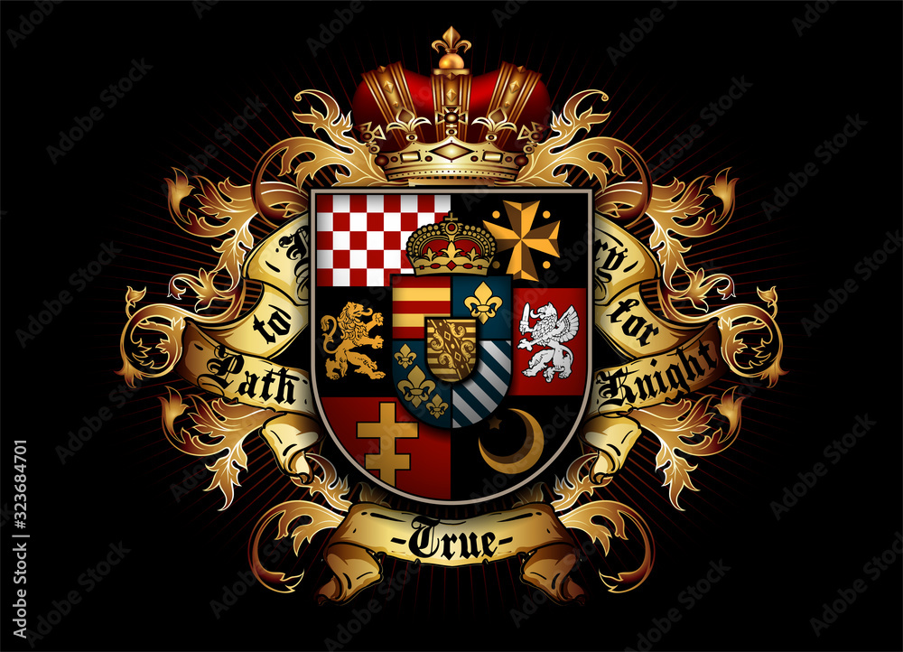 Heraldic shield with a crown on a black background. High detailed ...