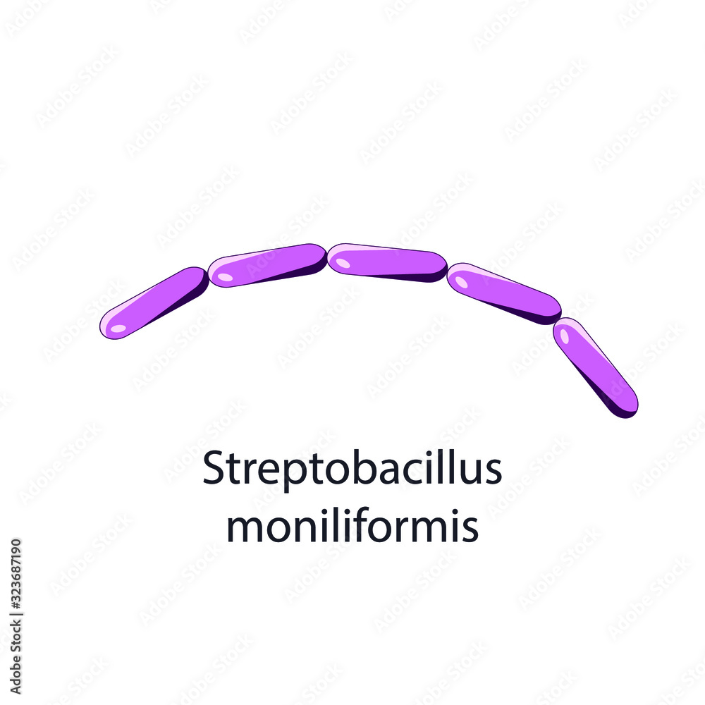 Streptobacillus
