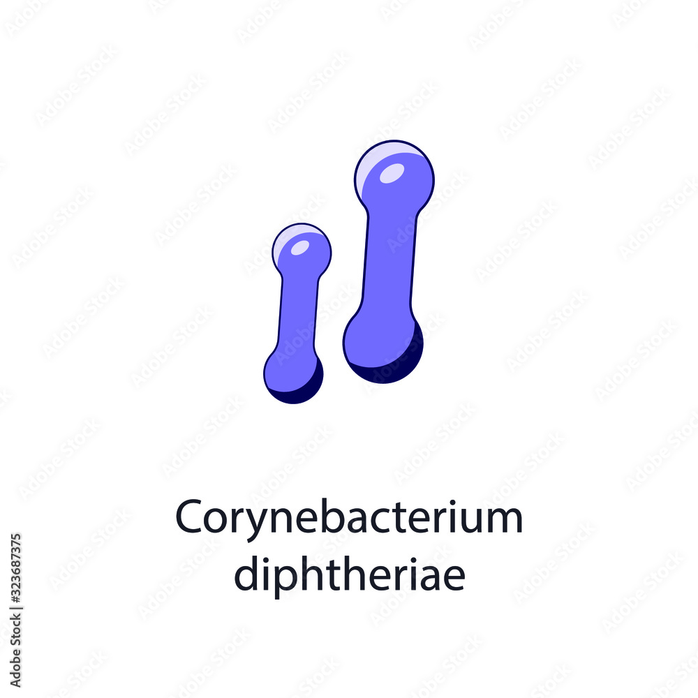 Corynebacterium diphtheriae. Bacterial microorganism. Vector ...