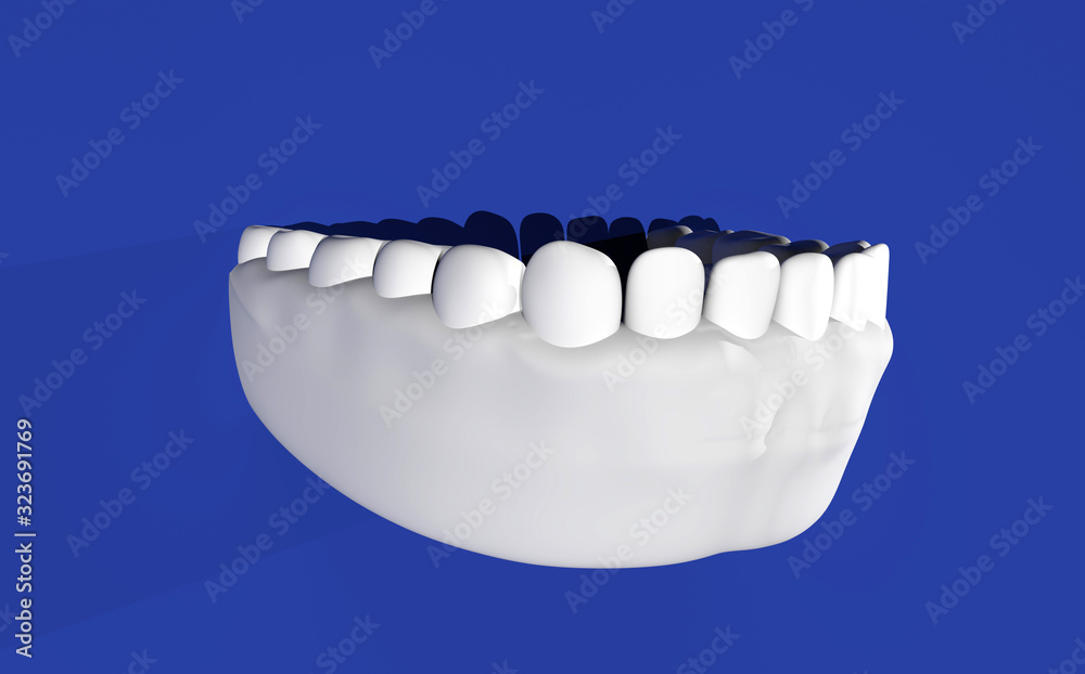 Jaw, cast of teeth, human teeth. Dentistry, periodontist. 3D-rendering ...