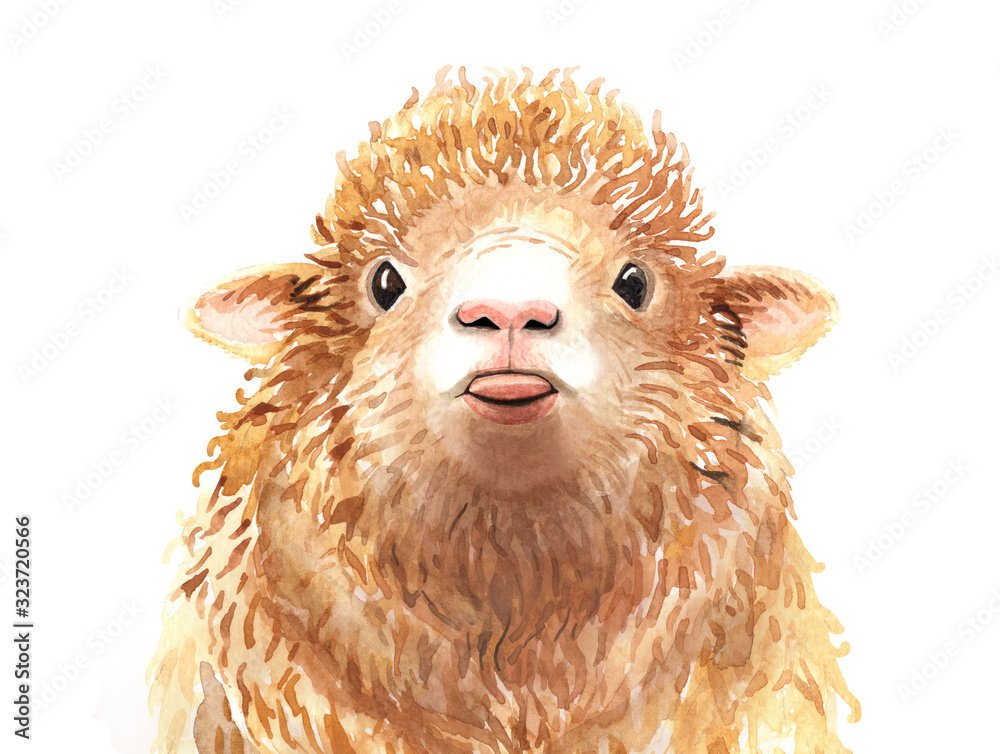 Watercolor Sheep. Sheep sticks tongue out paint for Baby Shower layer ...