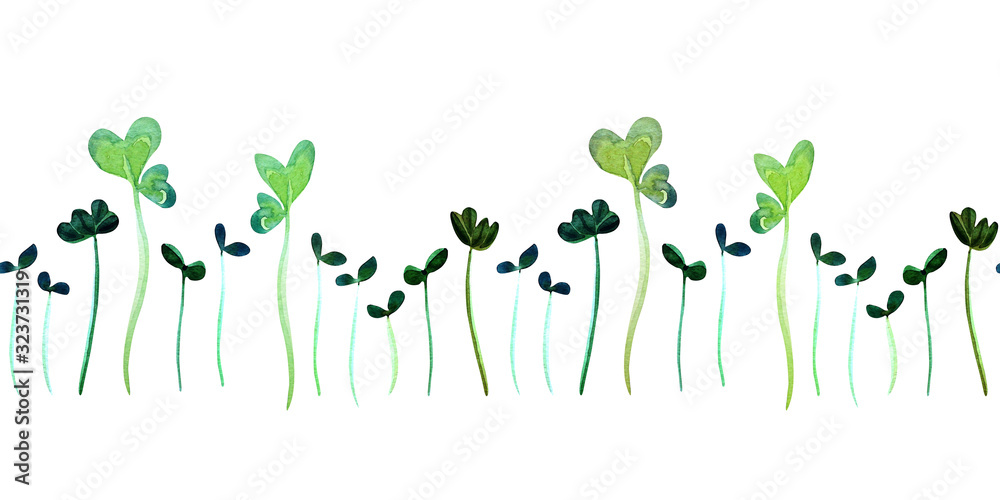 Watercolor seamless border of green microgreens, sprouts isolated on a ...