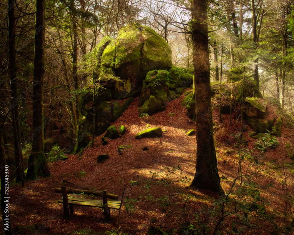 Beauty corners of the Archiforo forest, in the Serre regional park ...
