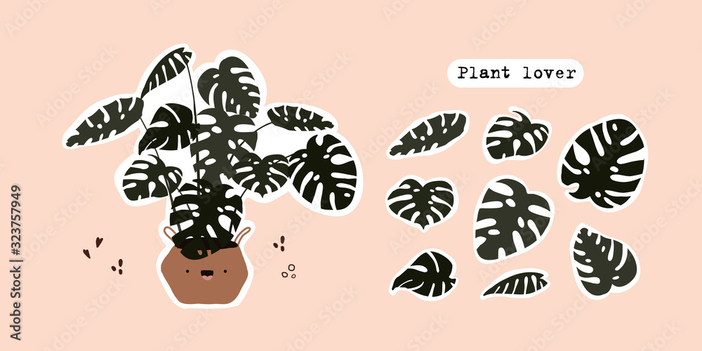 Set of cute tropical monstera plant in pot monstera leaves isolated on ...