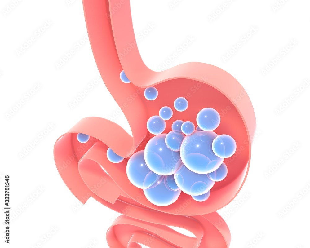 3D illustration of the schematic interior of the human stomach with ...