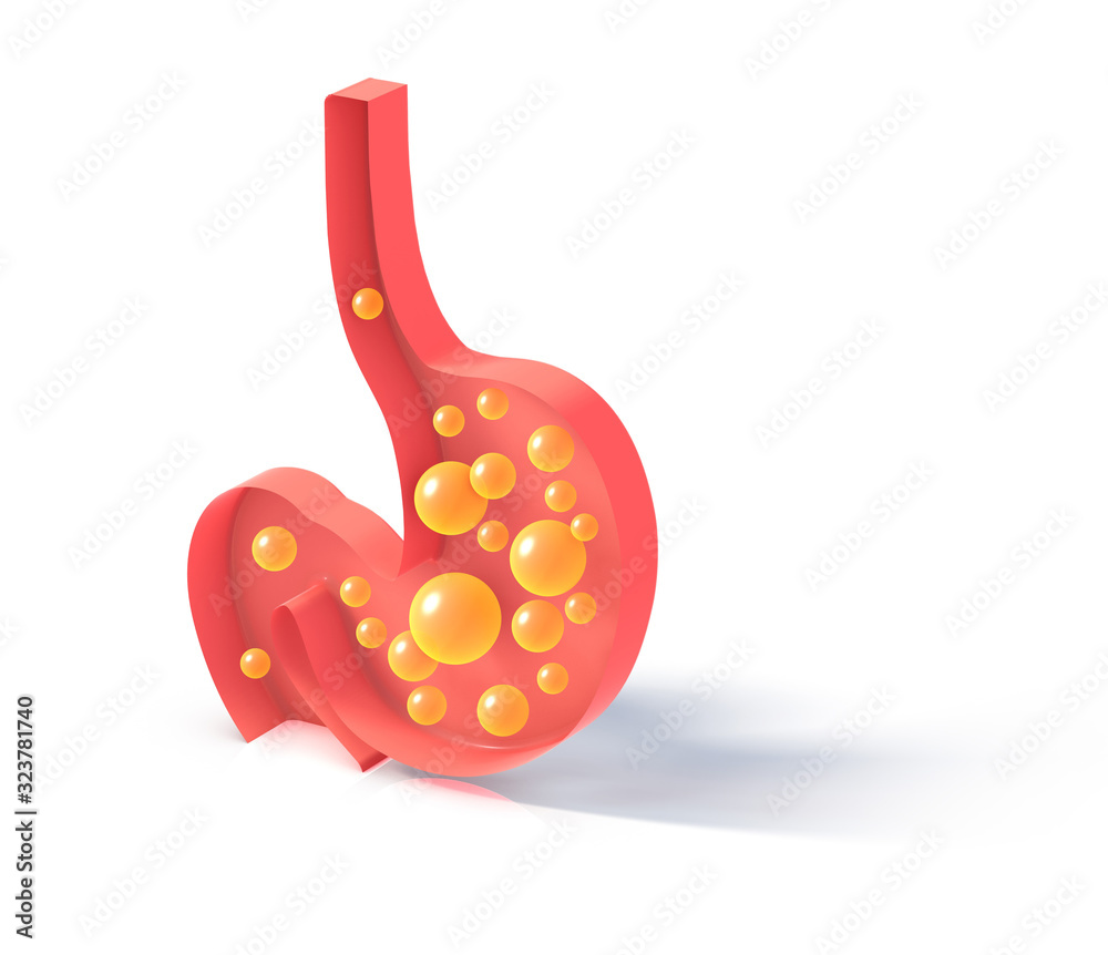 3D illustration of the schematic interior of the stomach with gases ...