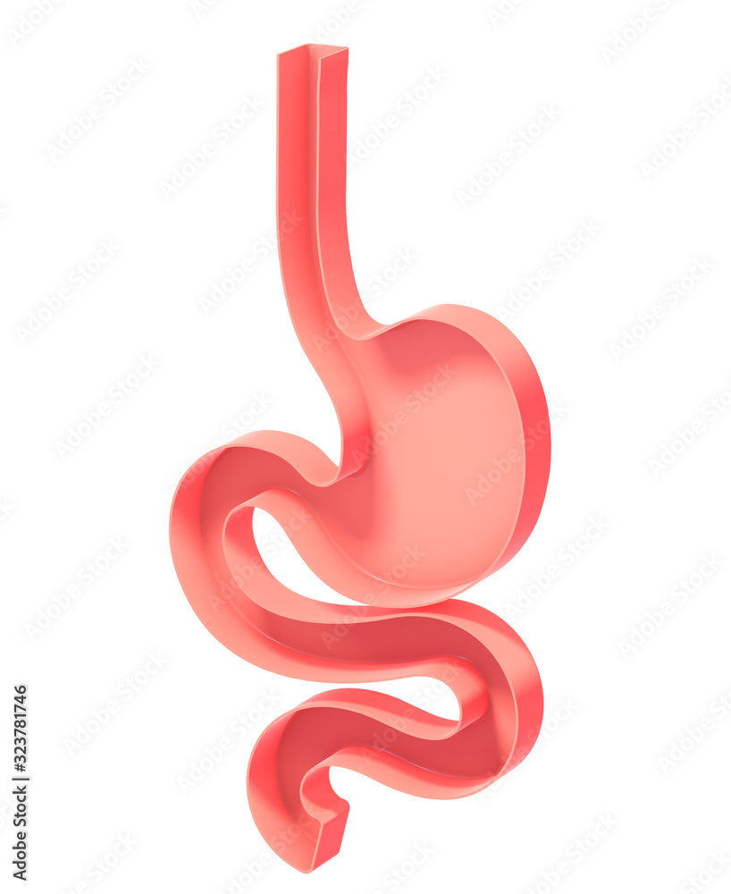 3D illustration of the schematic interior of the stomach. Flat ...