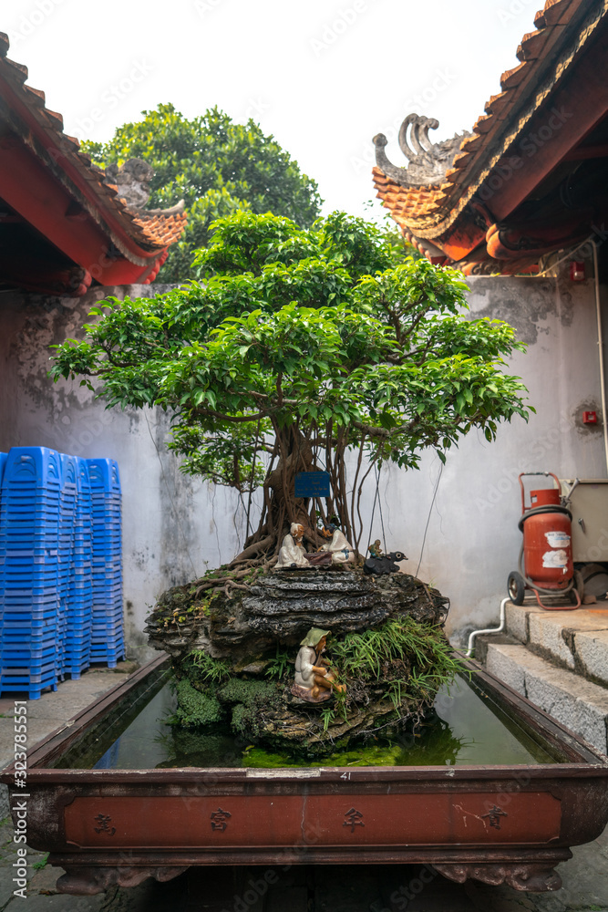 The gardens of the first courtyard in the Temple of Literature which is ...