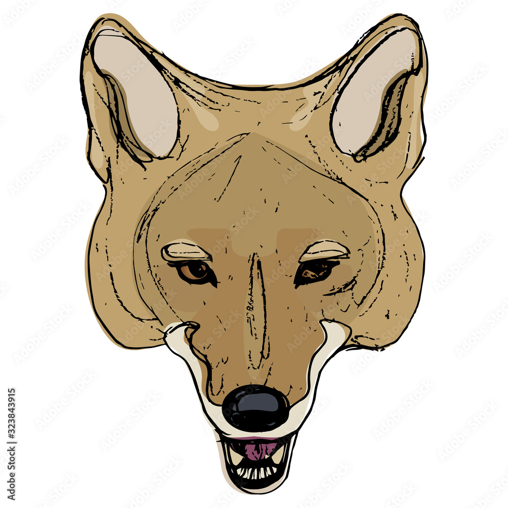 Isolated vector illustration. Stylized face of coyote. (Canis latrans ...