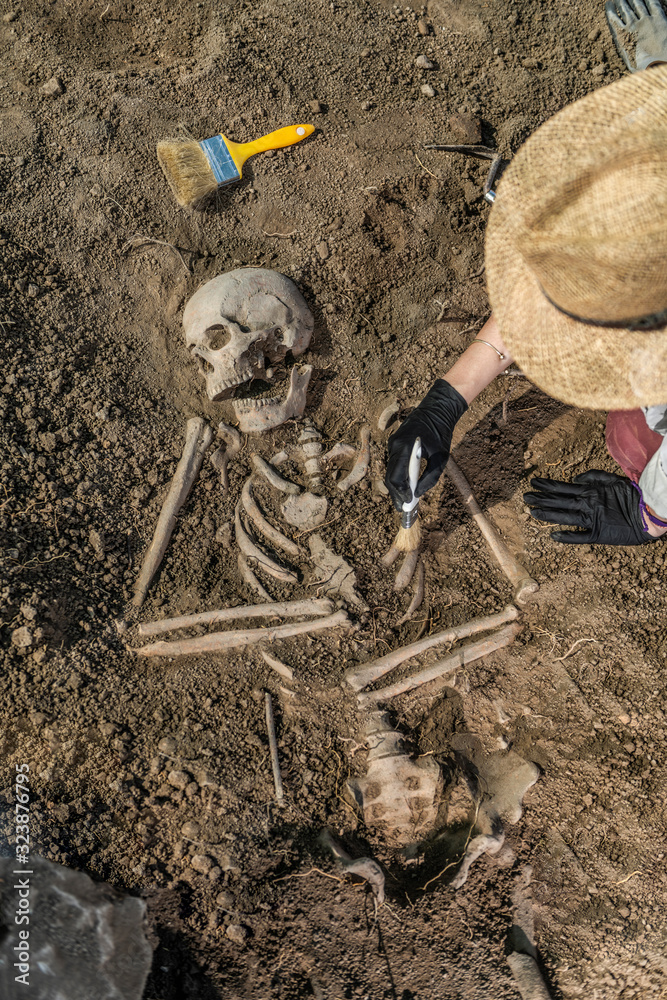 Archaeological Excavations - Ancient Human Skeleton Stock Photo | Adobe ...