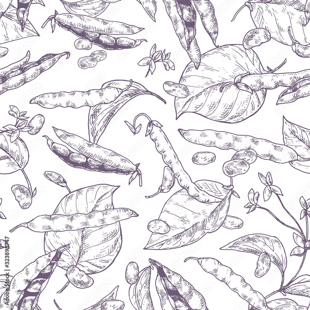 Different beans pods and grains monochrome seamless pattern. Various ...