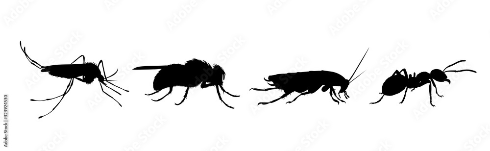 Vector silhouette of collection of insect on a white background. Symbol ...