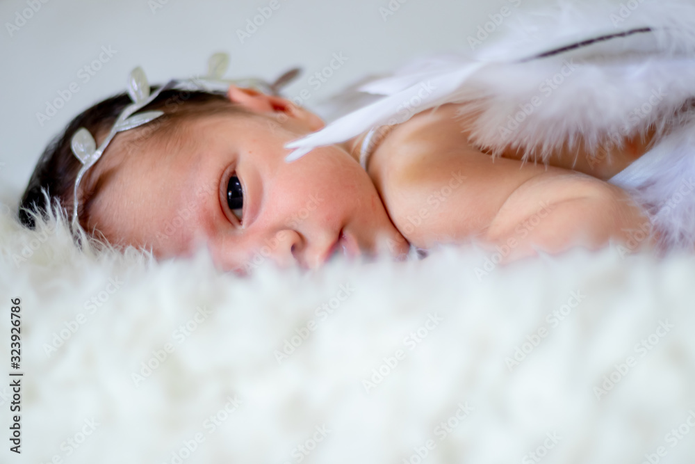Baby angel Stock Photo | Adobe Stock