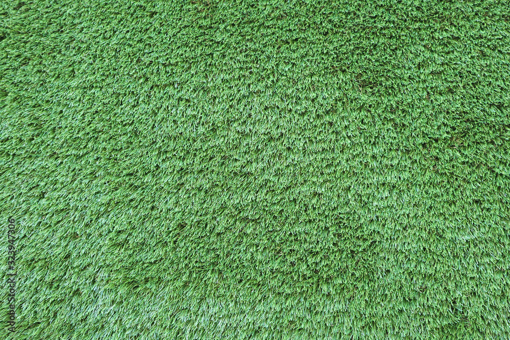 Surface of a grass field Stock Photo | Adobe Stock