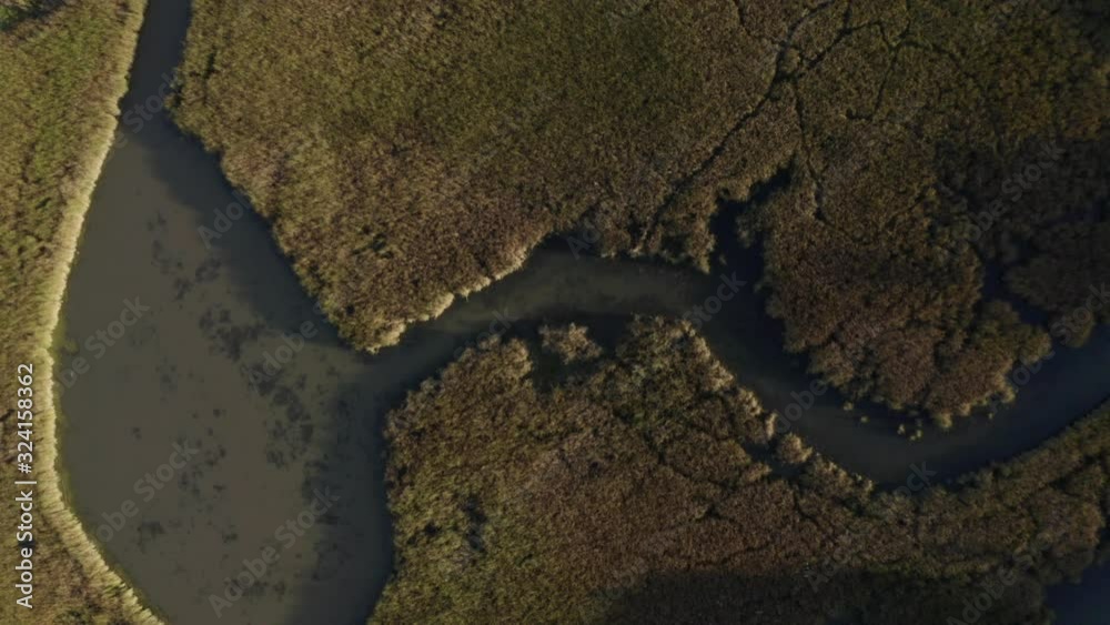 Drone footage of marsh / swamp. This is one clip of many in this series ...