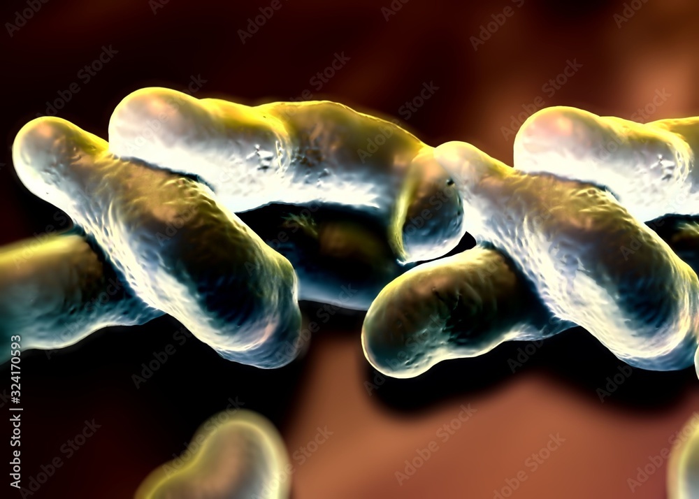3d illustration - Campylobacter Jejuni Bacteria Stock Illustration ...