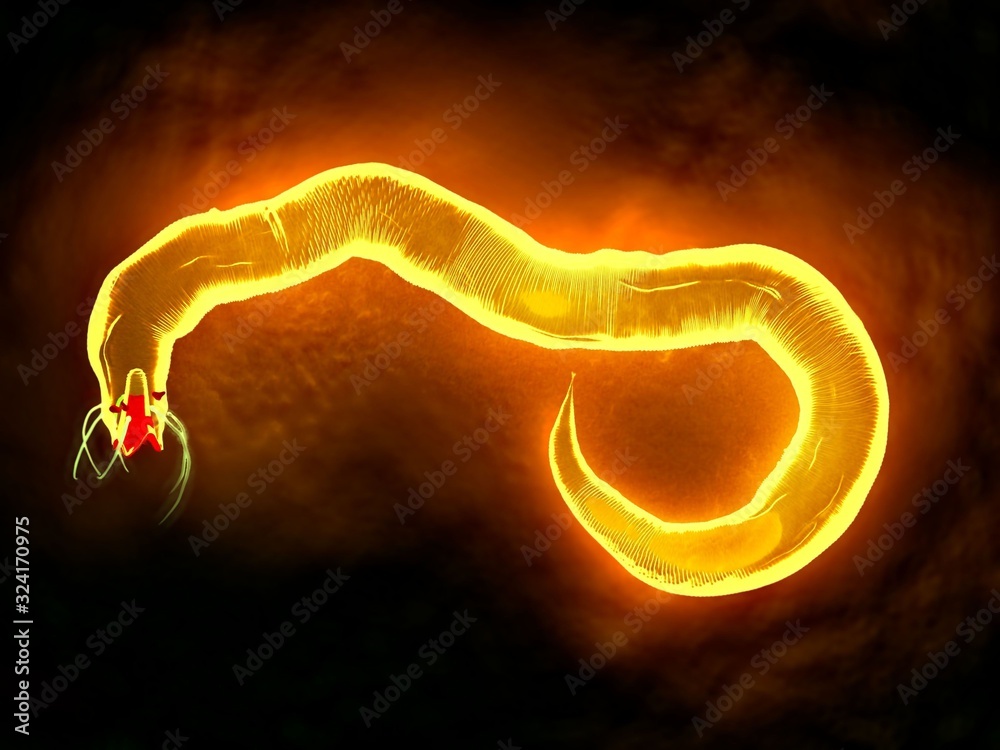 3d illustration - Nematode Worm Stock Illustration | Adobe Stock