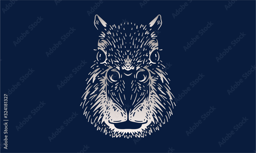 capybara on dark background Stock Vector | Adobe Stock