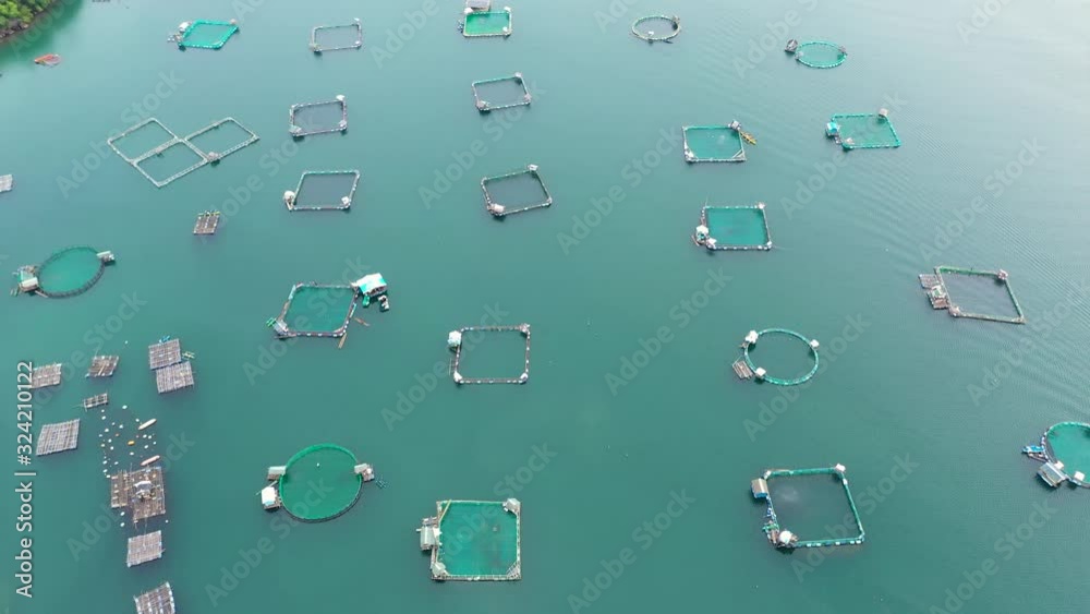 Fish farm with cages for fish and shrimp, top view. Fish cage for ...