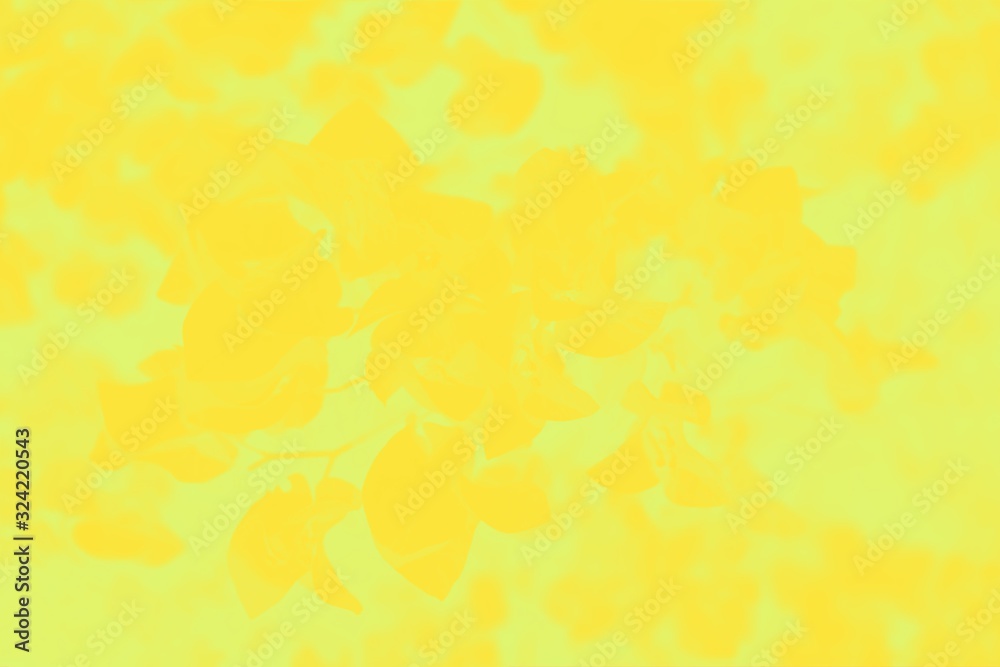 Blooming bougainvillea flowers background. Vivid yellow gradient ...