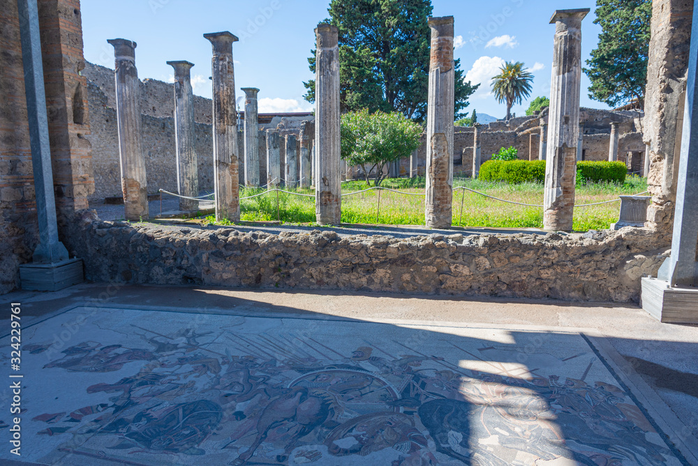 House of the faun with Alexander the Great battle mosaic of Pompeii ...