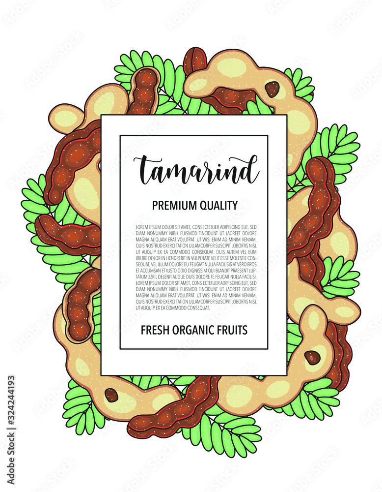 Vector background with tamarind, whole and pieces. Vector stock ...