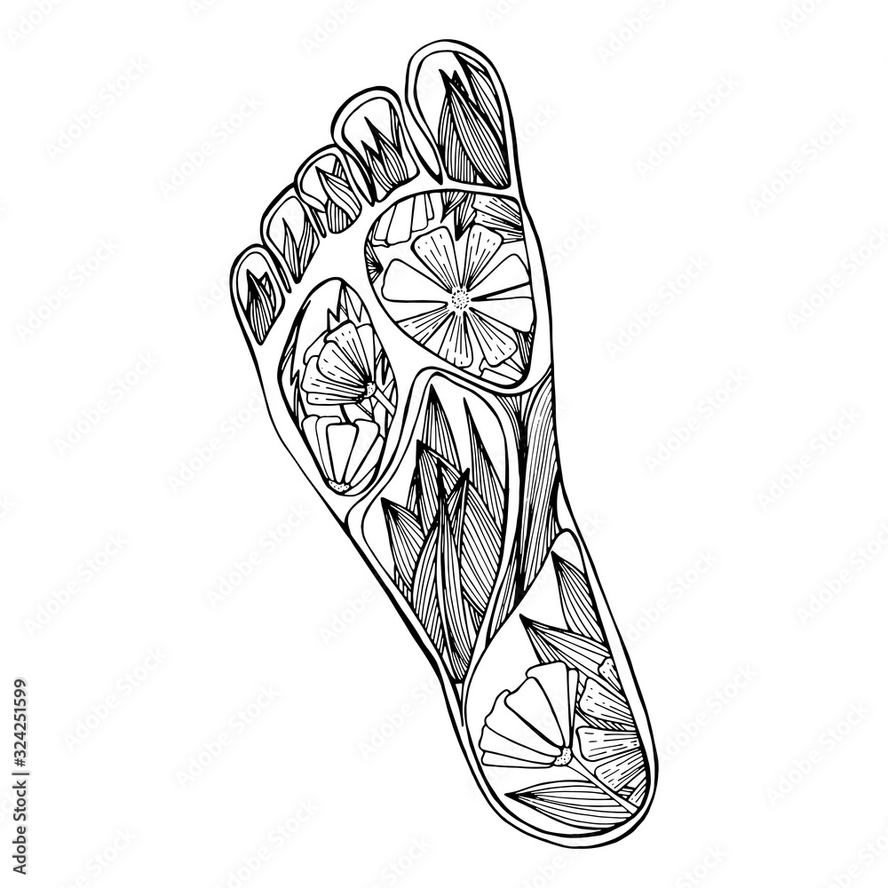 leg-foot-of-a-person-hand-drawn-heel-toes-untouched-nature-nature