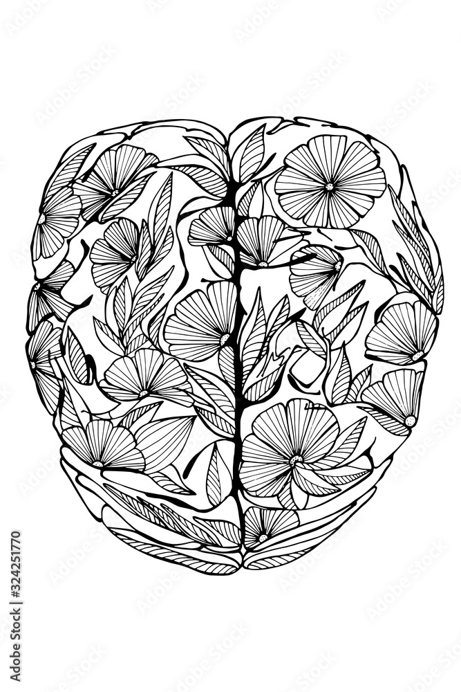 Human brain. Drawn brains with flowers, healthy head, MRI. for medical ...