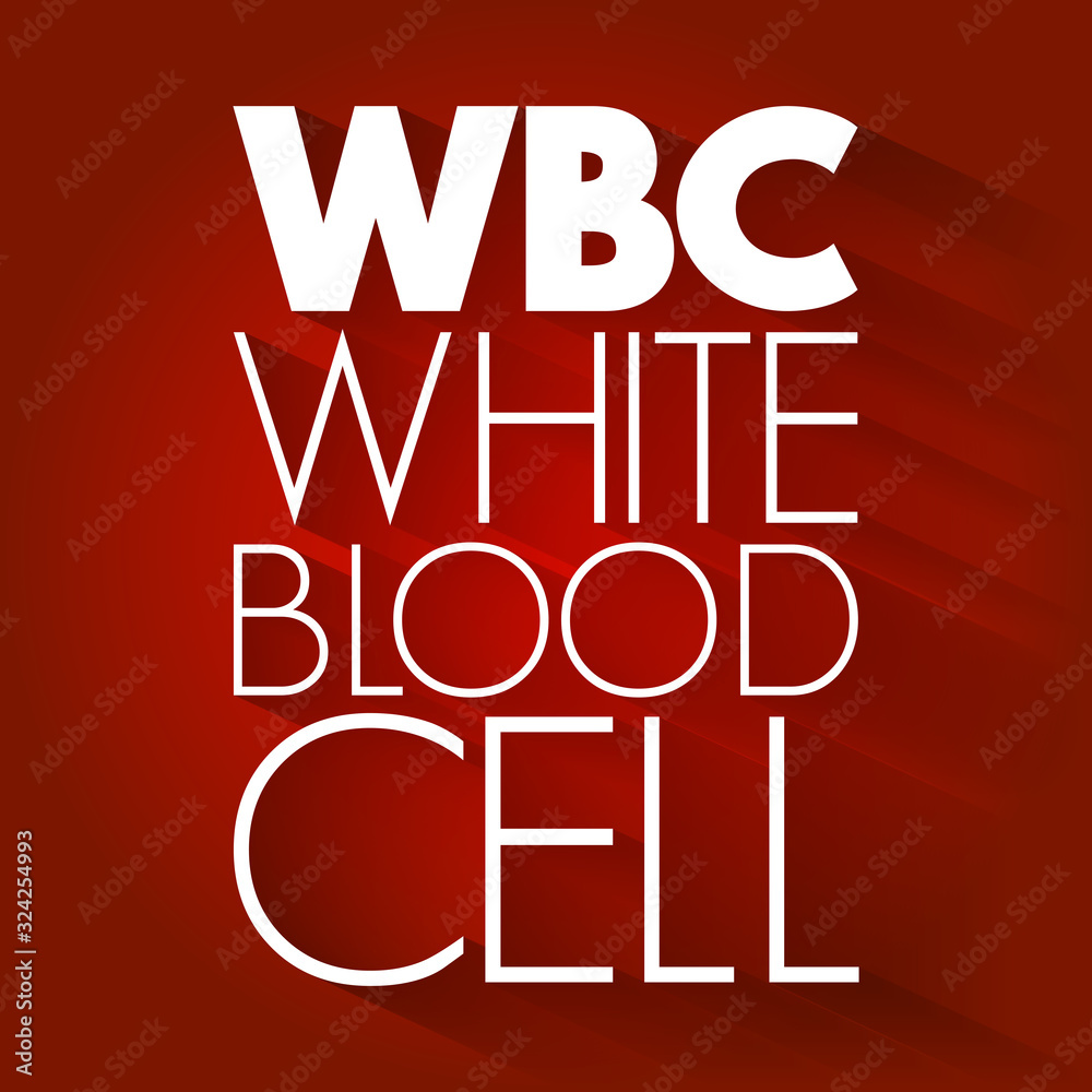 WBC - White Blood Cell acronym, medical concept background Stock Vector ...
