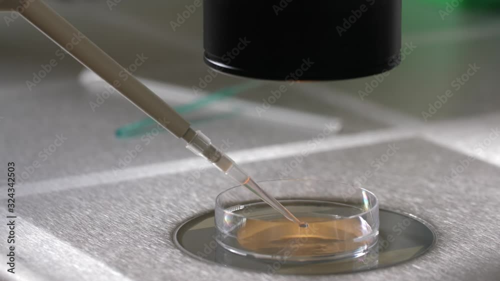 Procedure for placing cryoprotectant in petri dish standing under ...