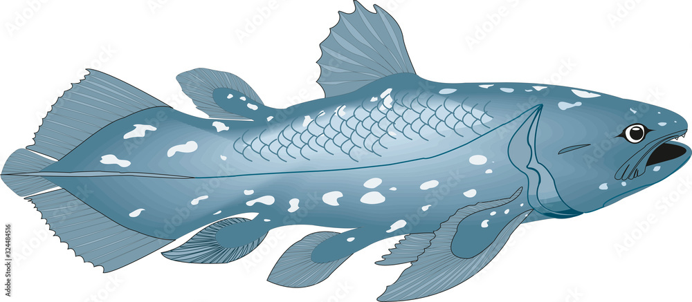 Vetor de Cartoon fish coelacanth do Stock | Adobe Stock