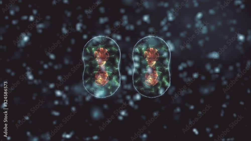 Virus And Bacteria Under Electron Microscope. Viral Epidemic Disease ...