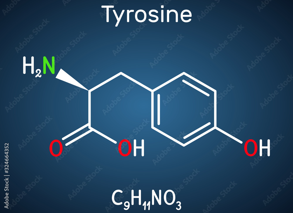 Tyrosine, L-tyrosine, Tyr, C9H11NO3 amino acid molecule. It plays role ...